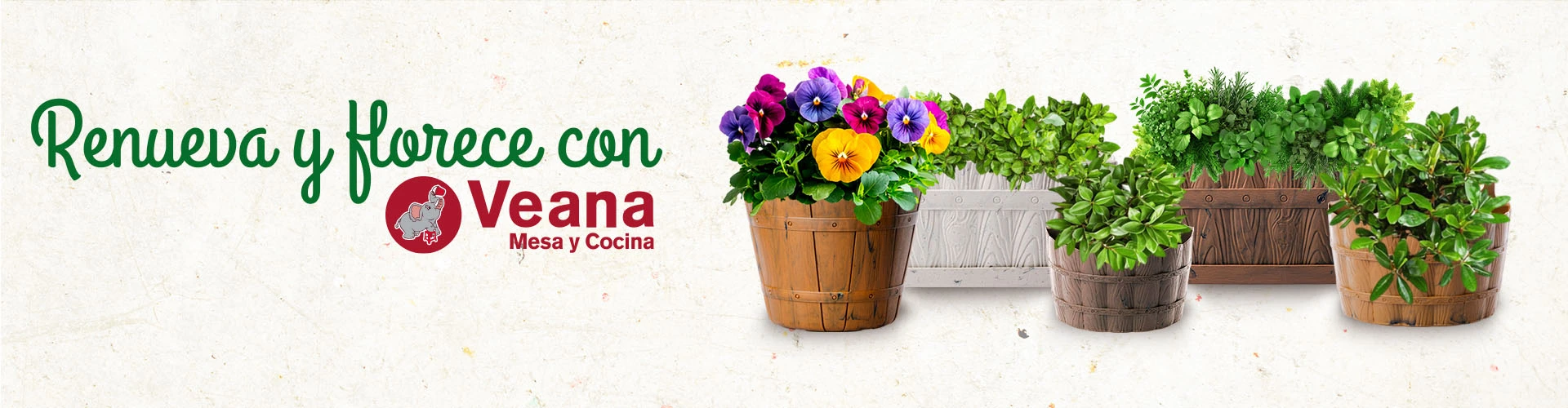 Bienvenido a Veana - Veana